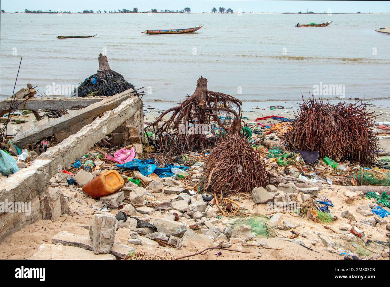 Senegal tree erosion hi-res stock photography and images - Alamy