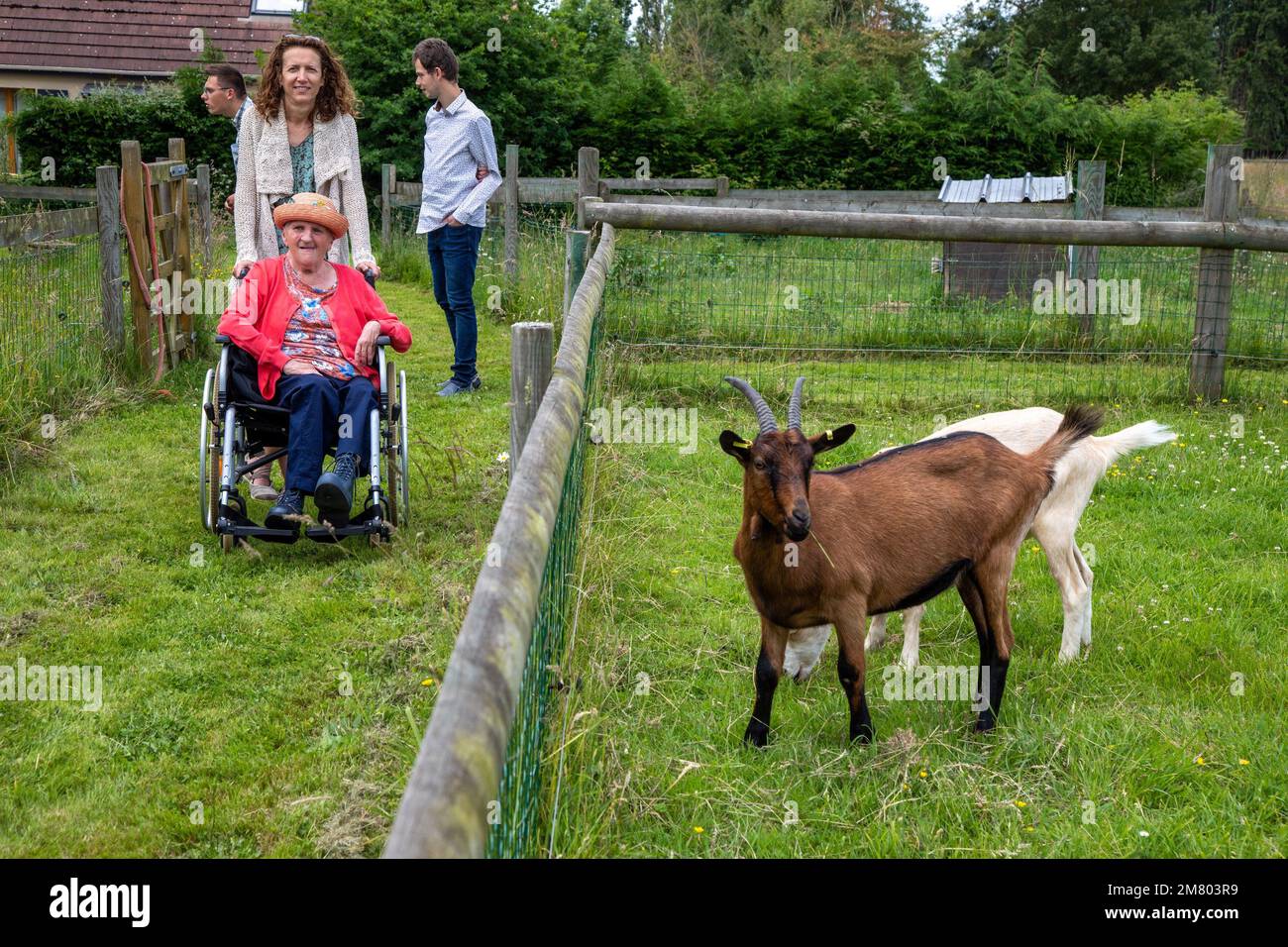 SMALL ORNAMENTAL FARM FOR HANDICAPPED PEOPLE, FAMILY VISIT, FOYER JULES ...