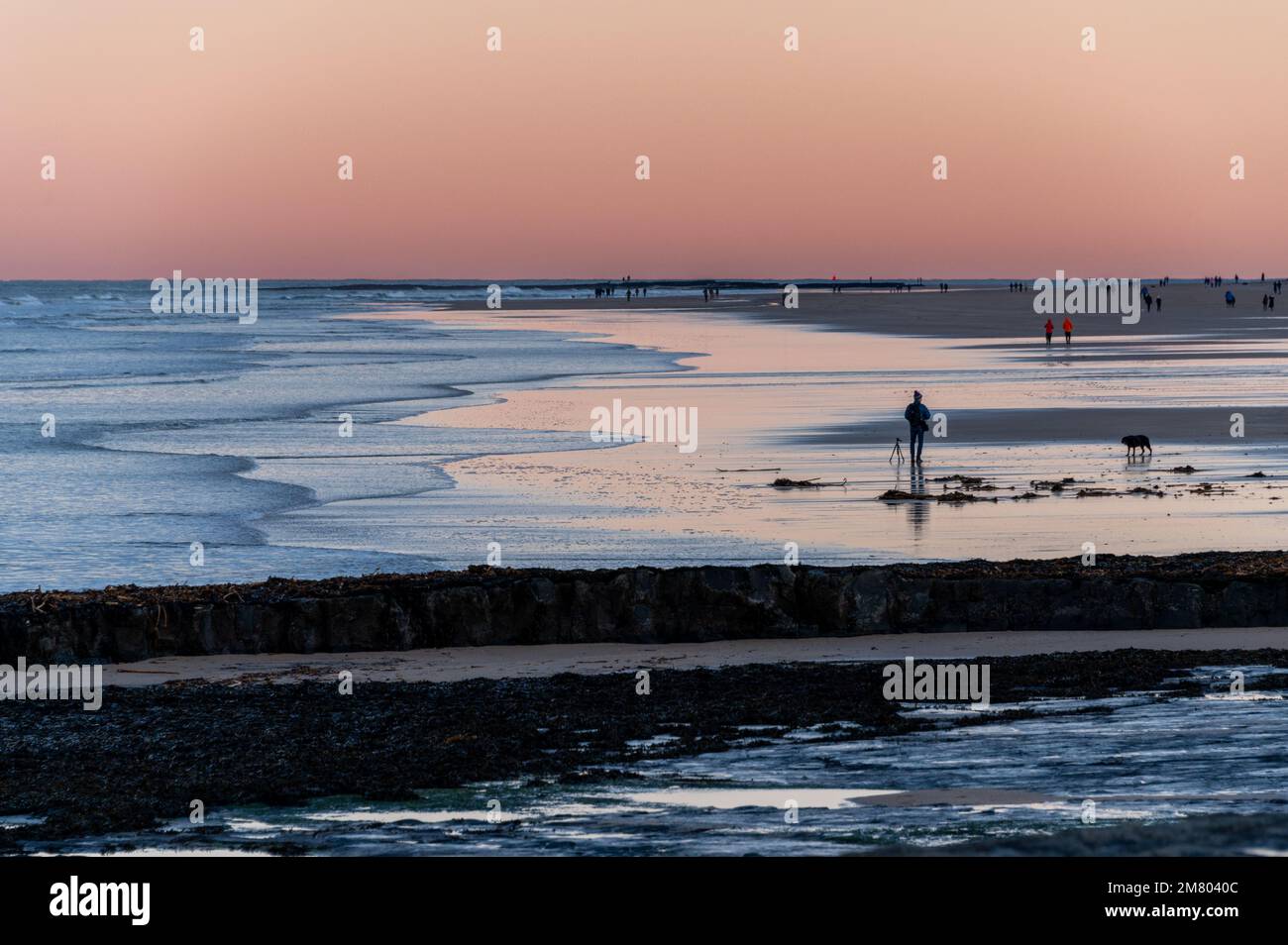 Bamburgh beach at sunset, UK Stock Photo - Alamy