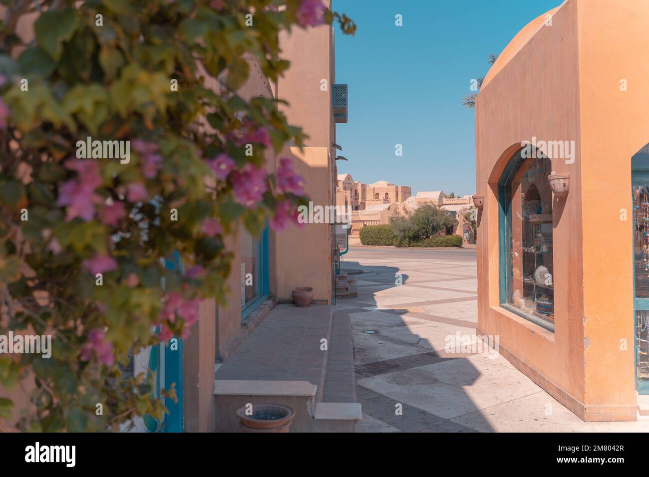 Flowers of egypt hi-res stock photography and images - Alamy