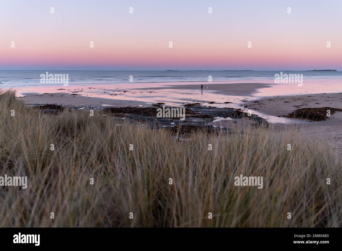 Bamburgh beach at sunset, UK Stock Photo - Alamy