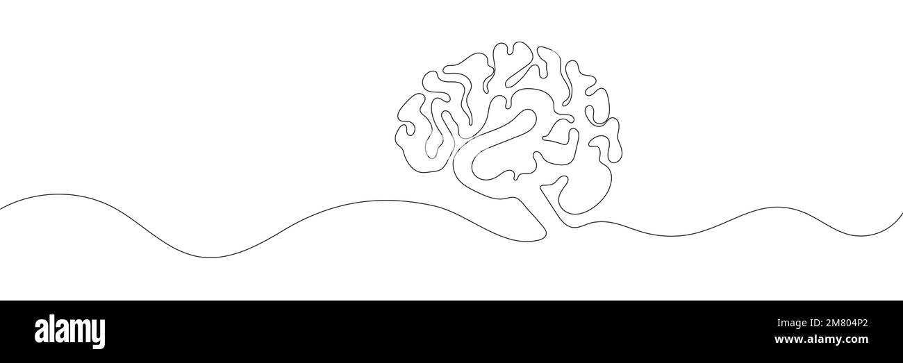 Human Brain Line Drawing Anatomy Clipart Modern Flat Design
