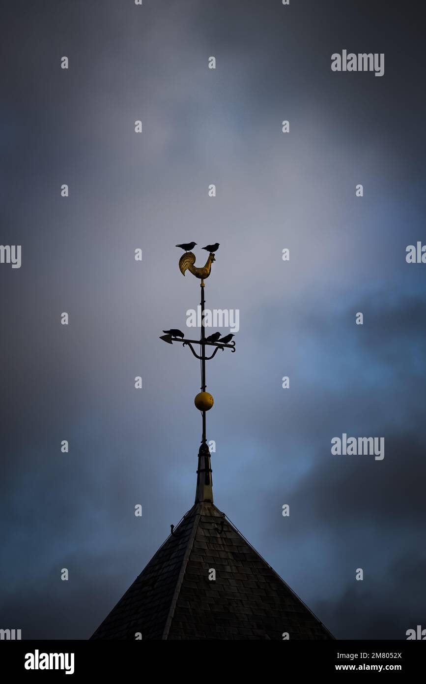 Weathercock on a steeple with two birds on top in dramatic sky Stock ...