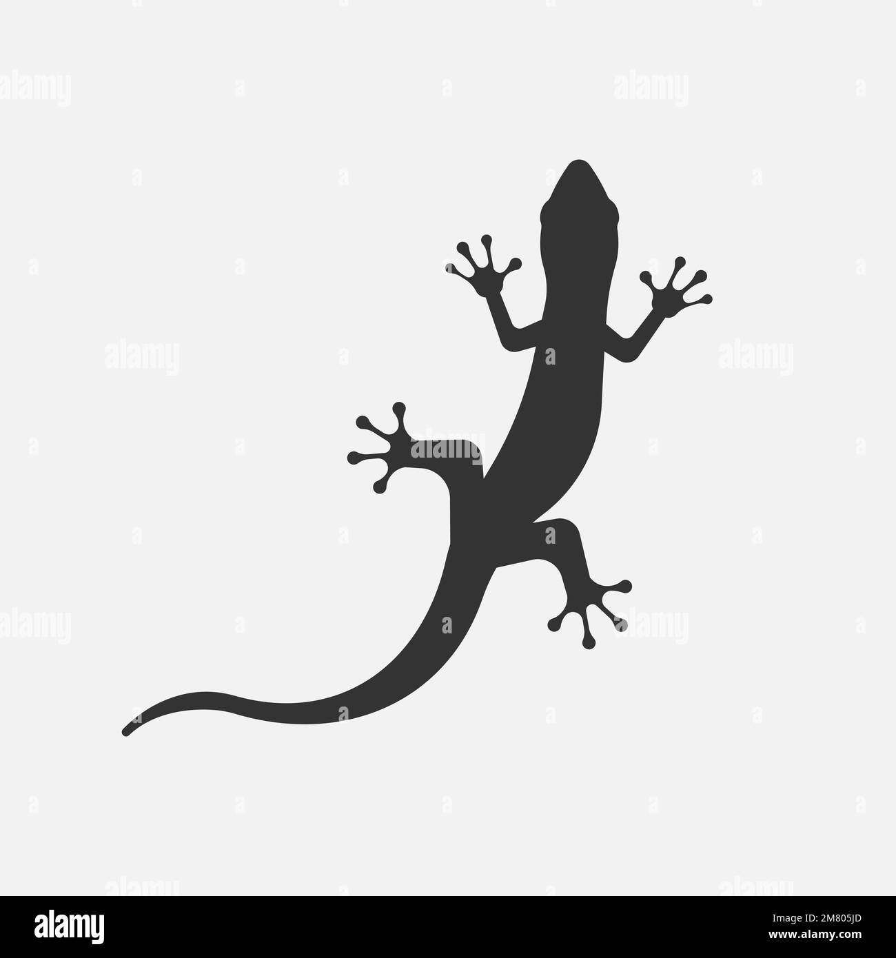Black silhouette of lizard isolated on white background. Vector ...