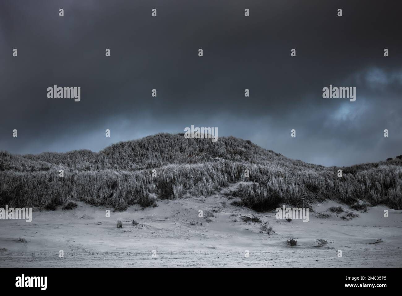 Sand dunes in rainy weather, with dramatic sky at the North Sea ...