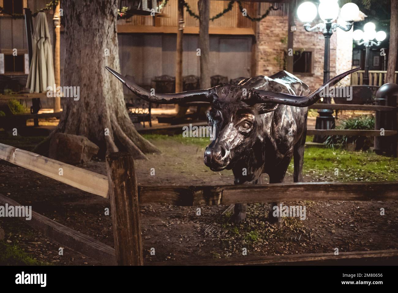 Statue of a bull in a wooden corral in front of tree and lamp post ...
