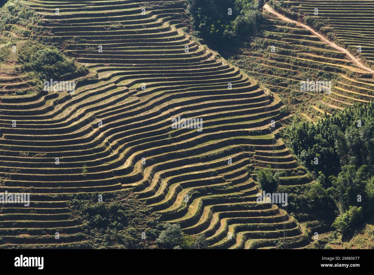 Sa Pa Vietnam, Rice Terraces and High Mountains in Sa Pa, Vietnam Stock ...
