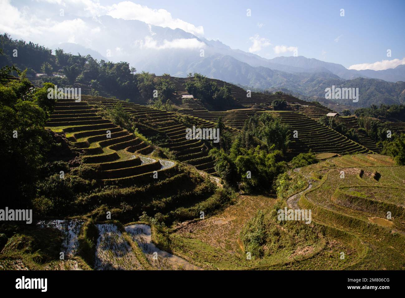 Rice Terraces and High Mountains in Sa Pa, Vietnam Stock Photo - Alamy