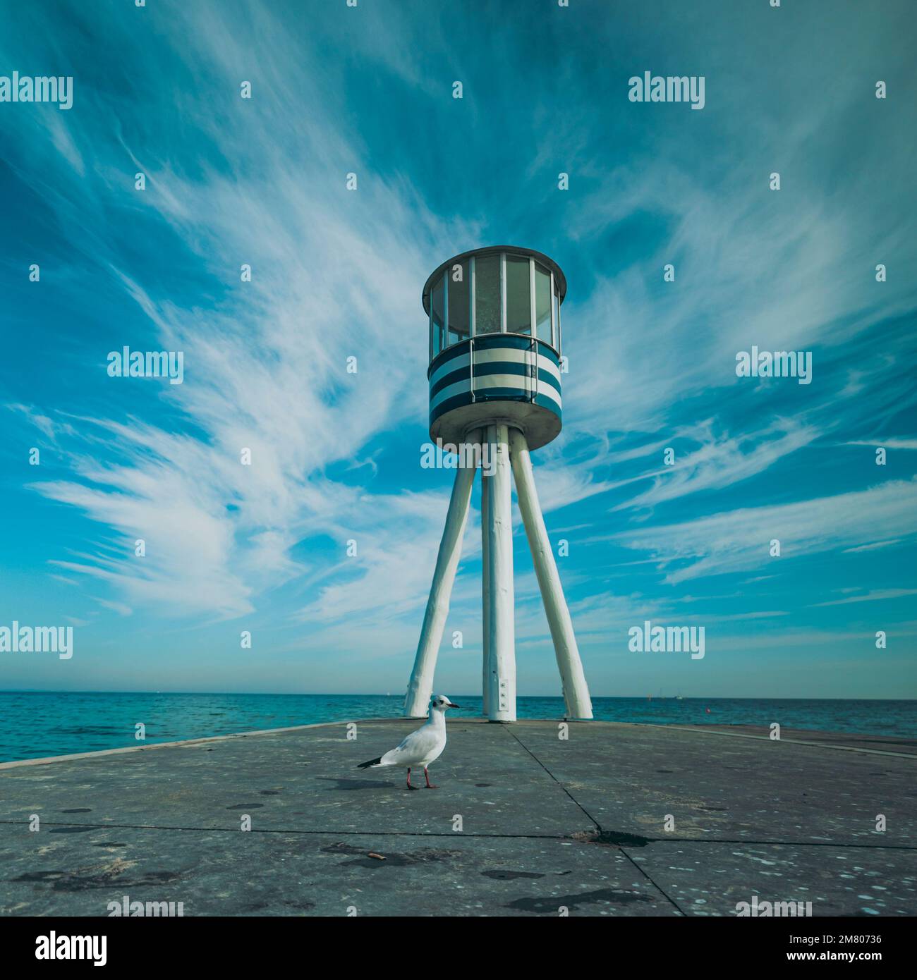 Lifeguard tower and seagull with blue sky in the background Stock Photo ...