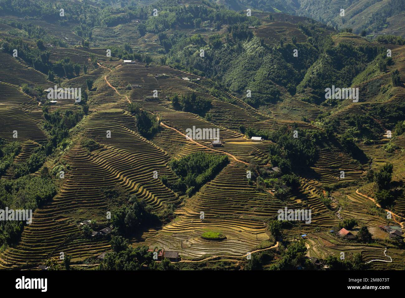 Lao valley national park hi-res stock photography and images - Alamy