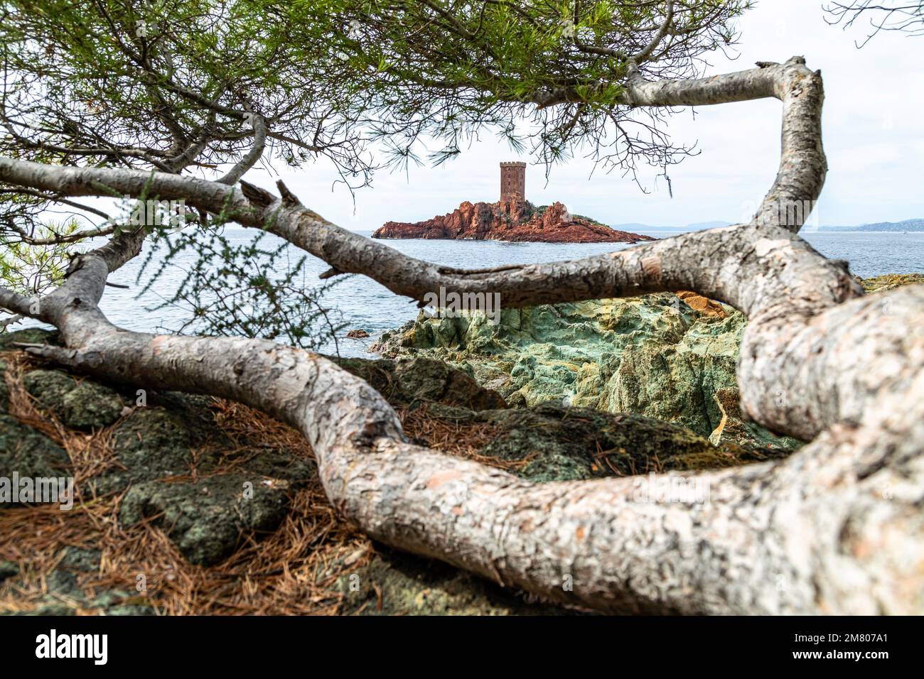THE ILE D'OR SEEN FROM THE COAST PATH OF CAPE DRAMONT, SAINT-RAPHAEL ...