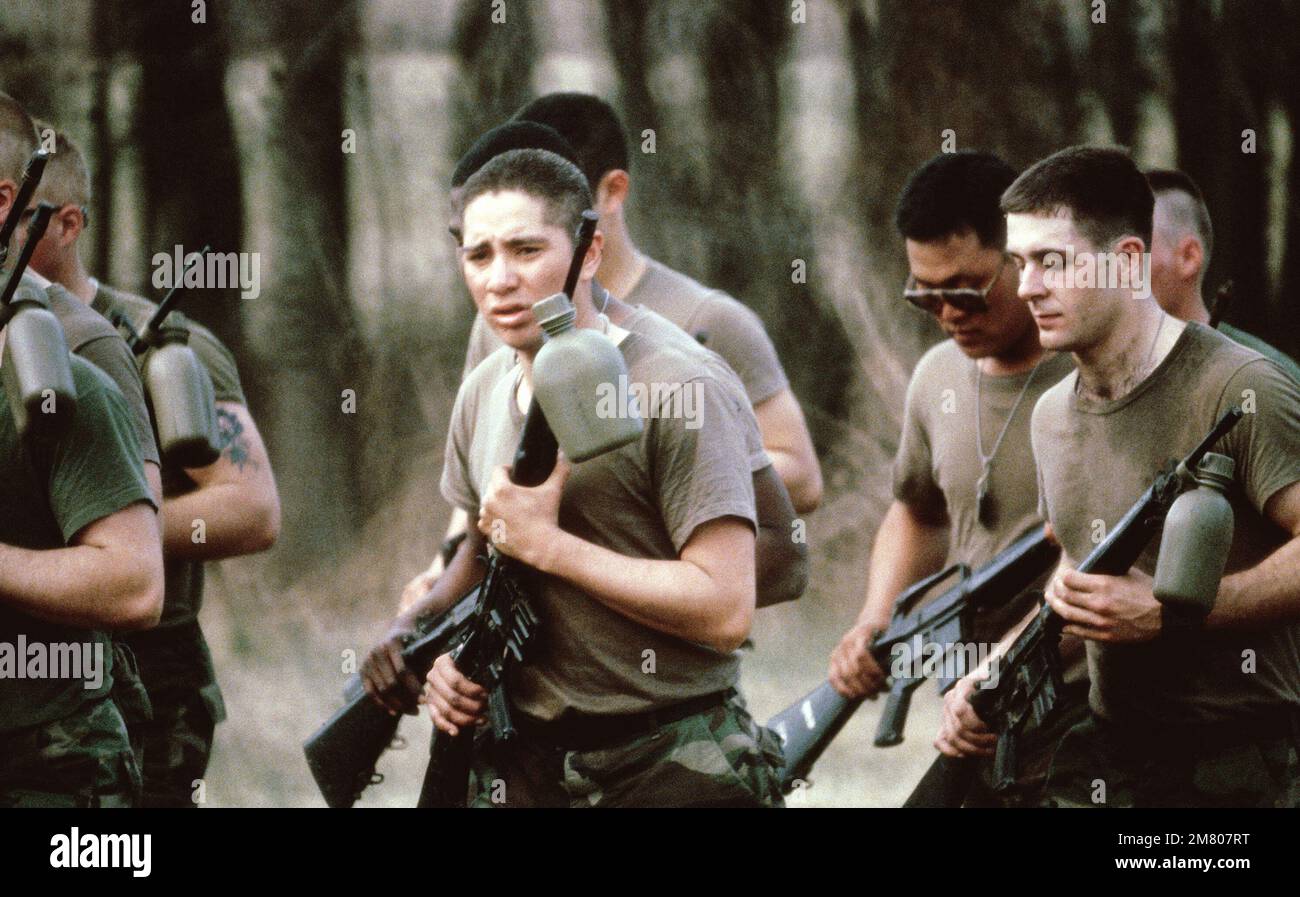 Infantrymen undergo physical training at the Army Air Assault School ...