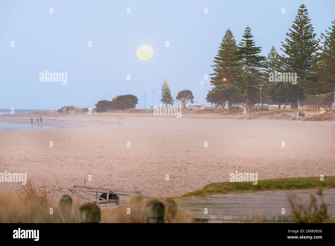 Golden rising moon over Mount Maunganui Main Beach in Tauranga New ...