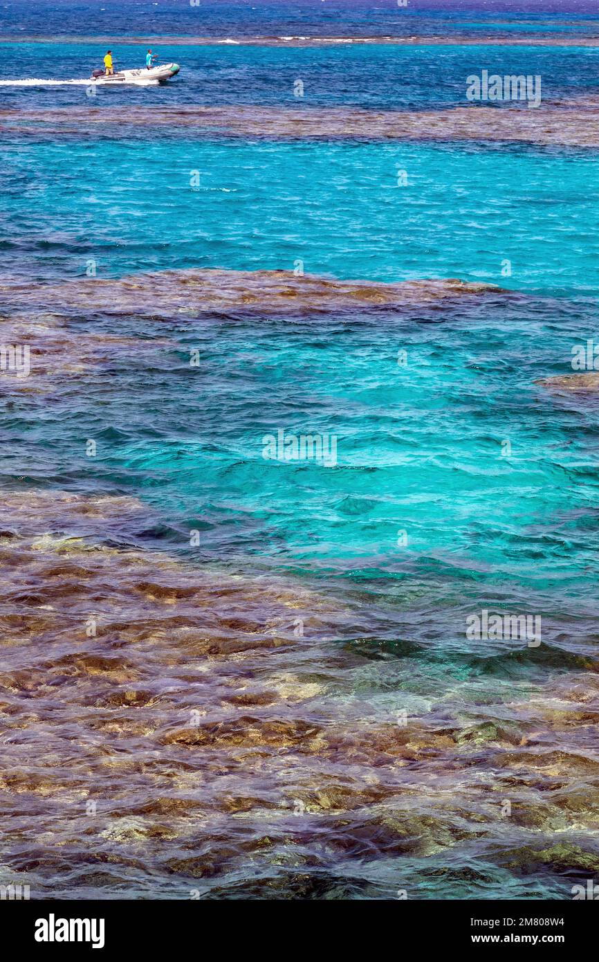 DIVING IN THE CORAL REEFS OF THE RED SEA, HURGHADA, EGYPT, AFRICA Stock ...