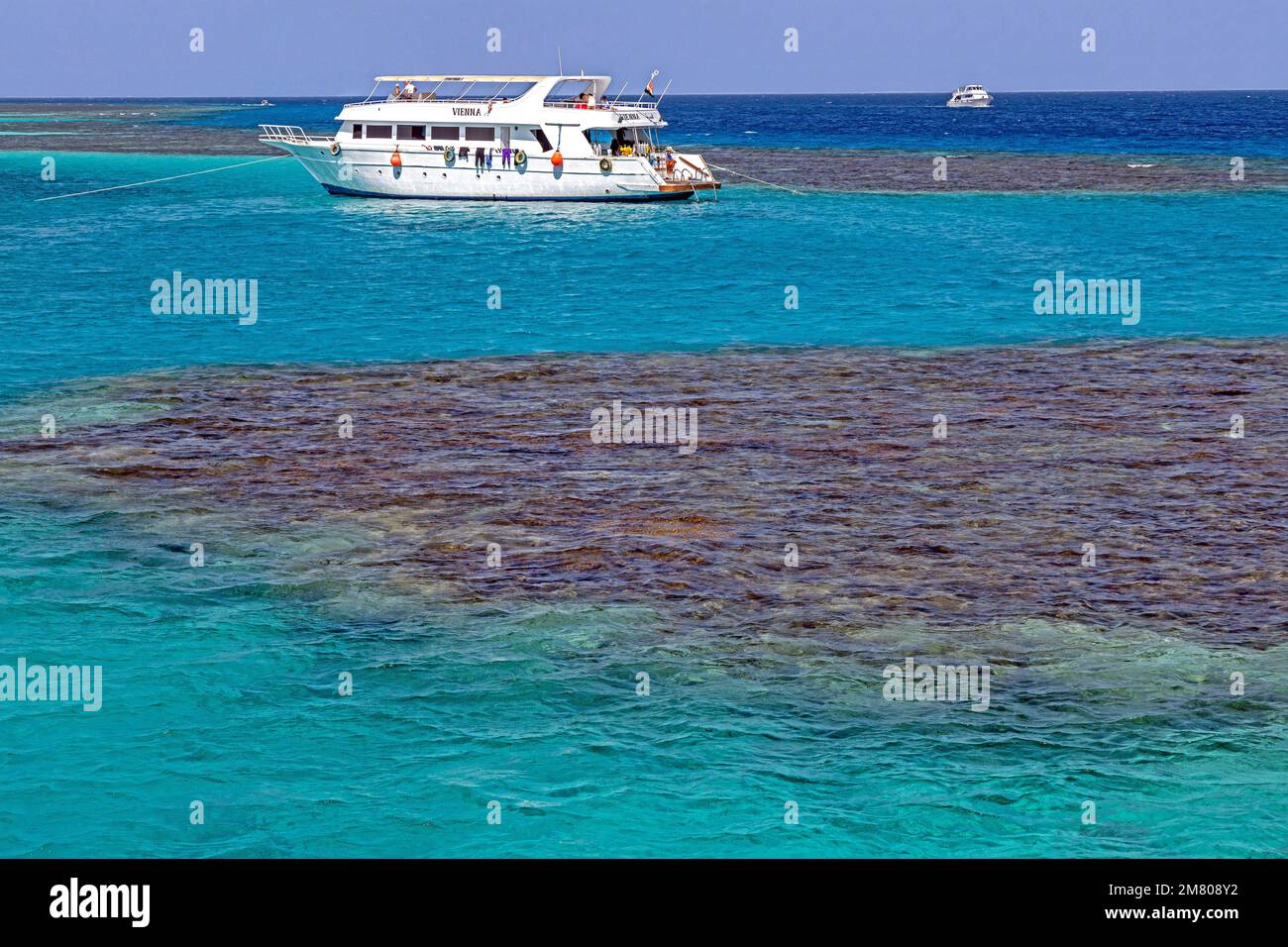 DIVING IN THE CORAL REEFS OF THE RED SEA, HURGHADA, EGYPT, AFRICA Stock ...