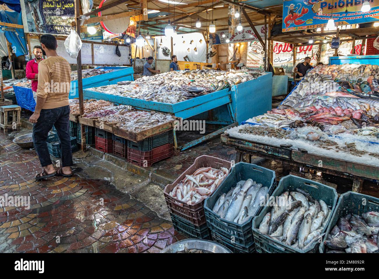 THE STANDS OF COLORFUL FISH IN THE FISH MARKET ON THE MARINA, HURGHADA ...