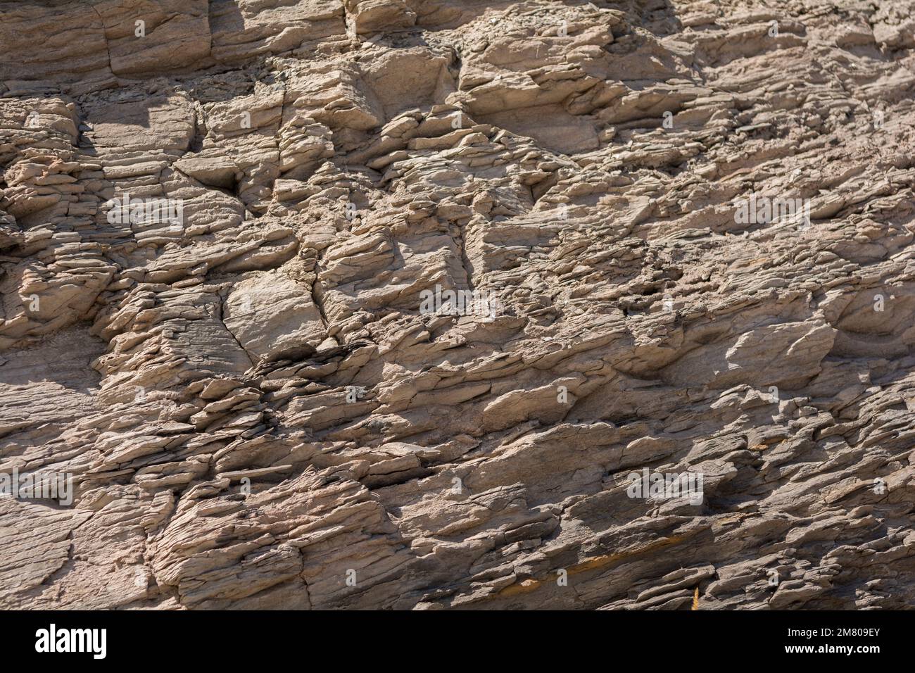Rock face on a Northumberland cliff Stock Photo - Alamy