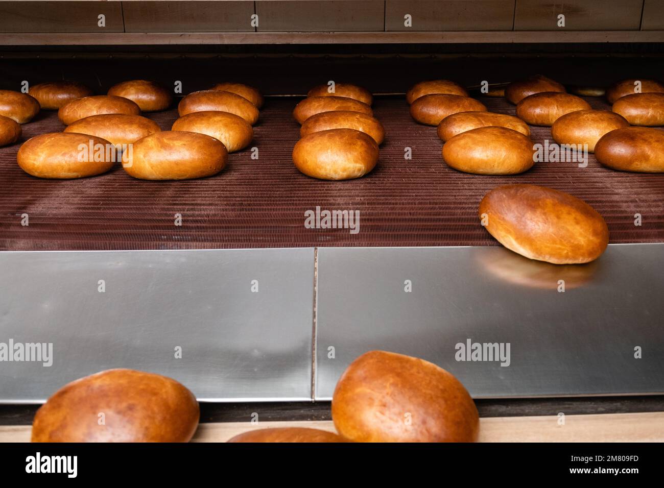 Fresh loaf of bread from the oven. Conveyor with bread. Workshop for ...