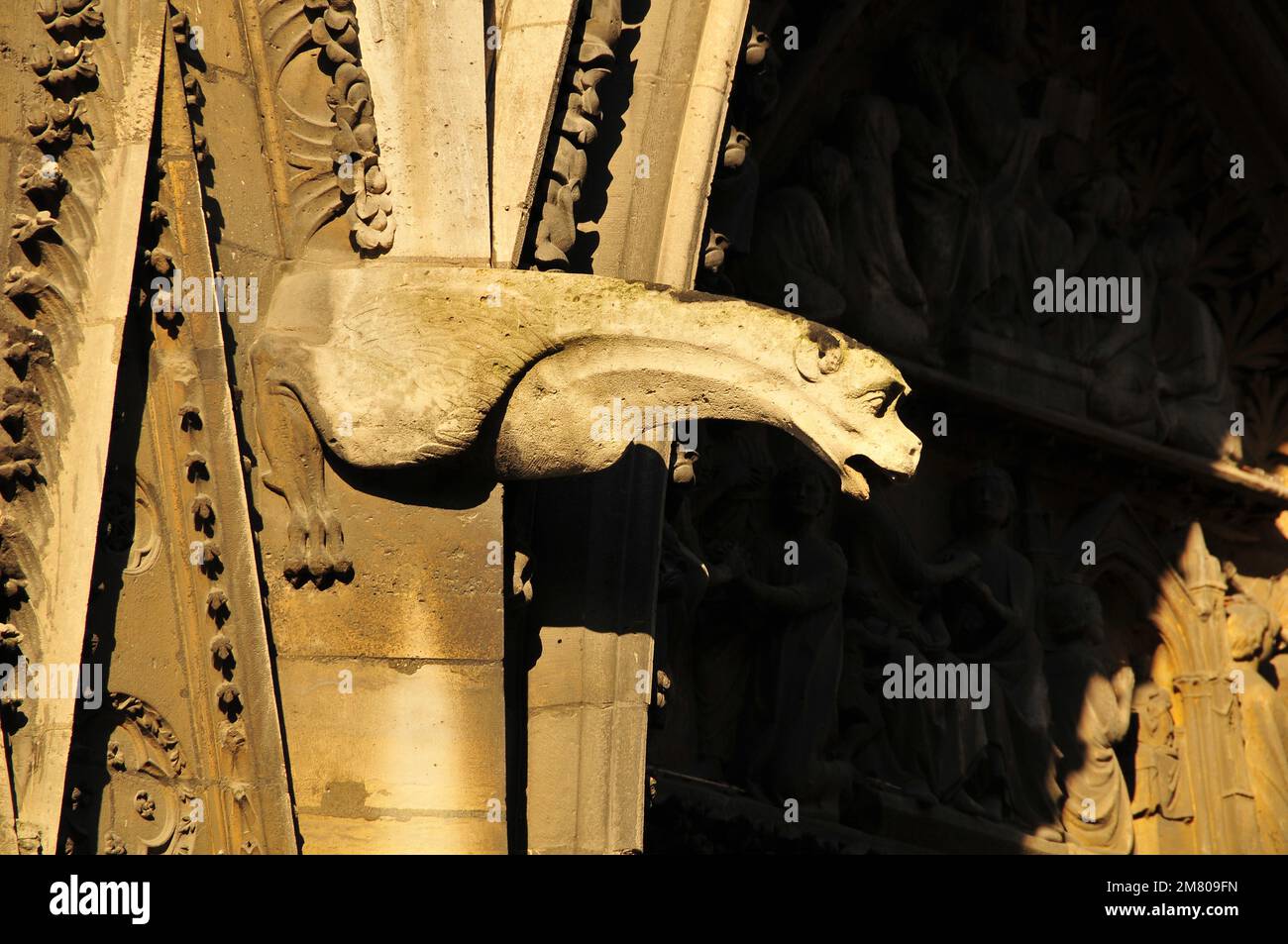 The Gargoyles of Notre Dame Cathedral (carved drain spouts designed to ...