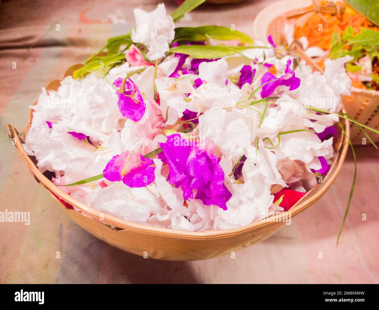 Dopati flower hi-res stock photography and images - Alamy