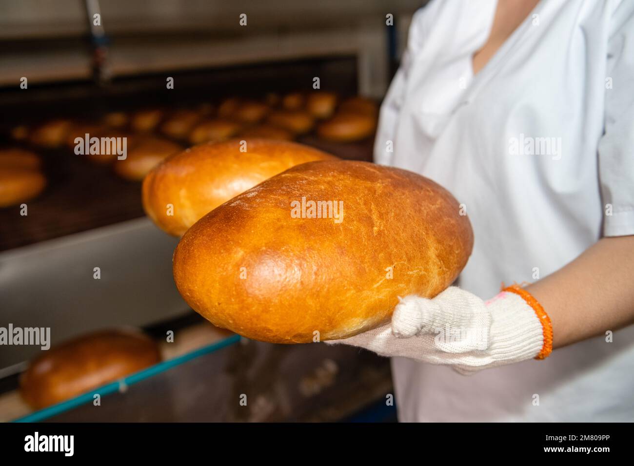 Freshly baked bread from conveyor hi-res stock photography and images ...