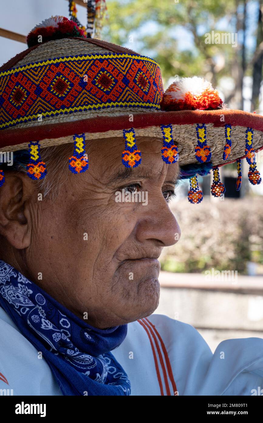 Mitotes hi-res stock photography and images - Alamy