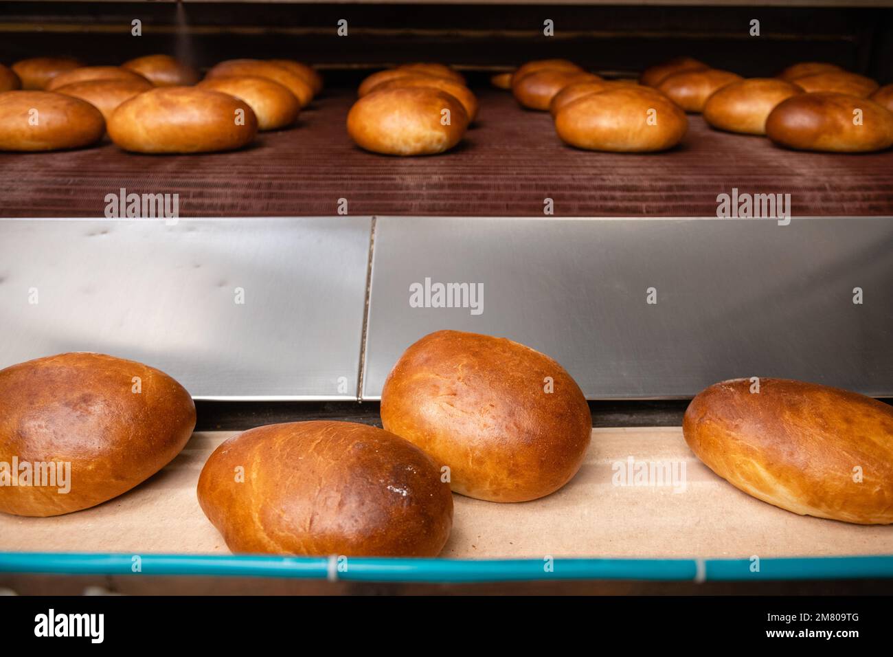 Fresh loaf of bread from the oven. Conveyor with bread. Workshop for production of bread. White ...