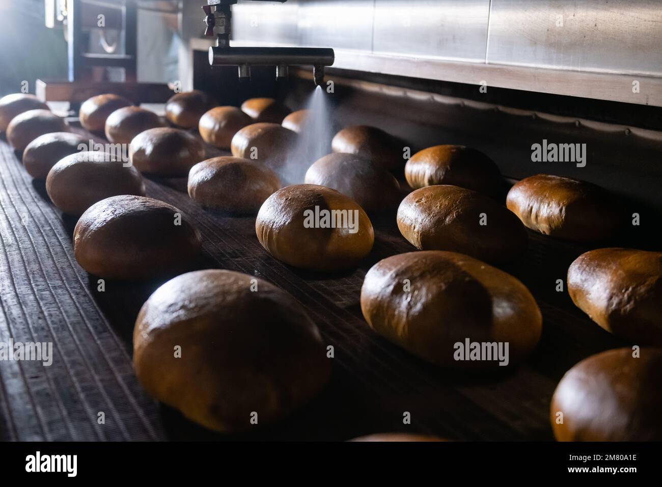Fresh loaf of bread from the oven. Conveyor with bread. Workshop for production of bread. White ...
