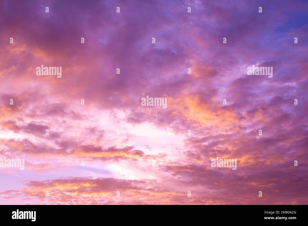 Abstract and pattern of cloud sky, Velvet violet, Velvet Purple, Trend ...