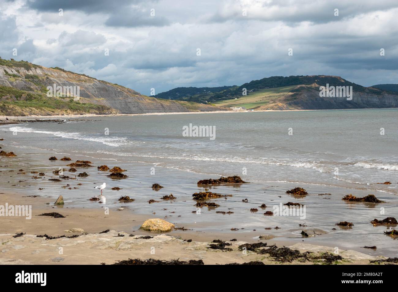 Lyme regis cliffs hi-res stock photography and images - Alamy