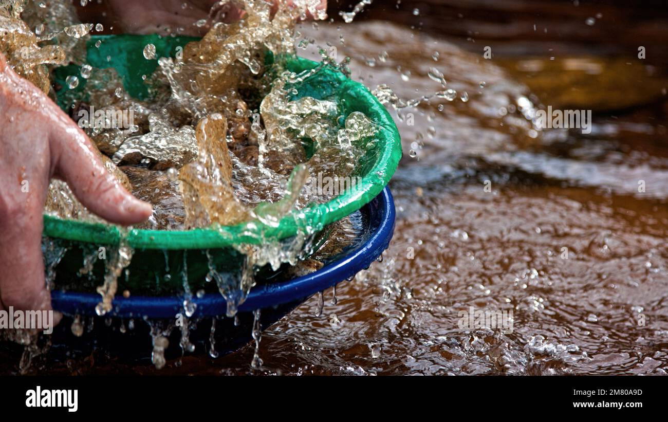 Shaking a riddle full of river gravels into a gold pan Stock Photo - Alamy