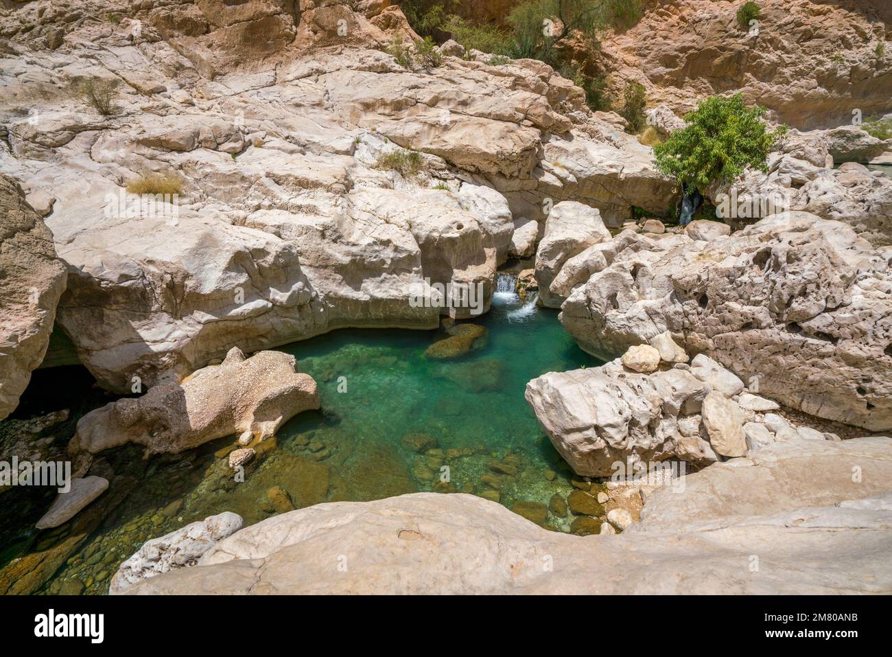 Small narrow white stone gorge with turquoise waters in Wadi Bani ...
