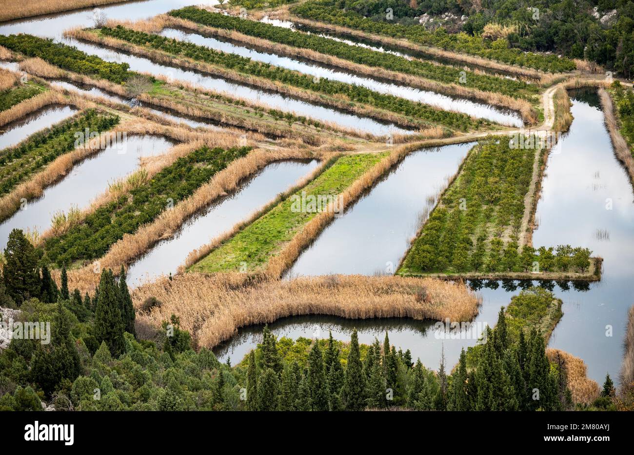 Beautiful rural countryside and fruit plantation on Neretva river ...