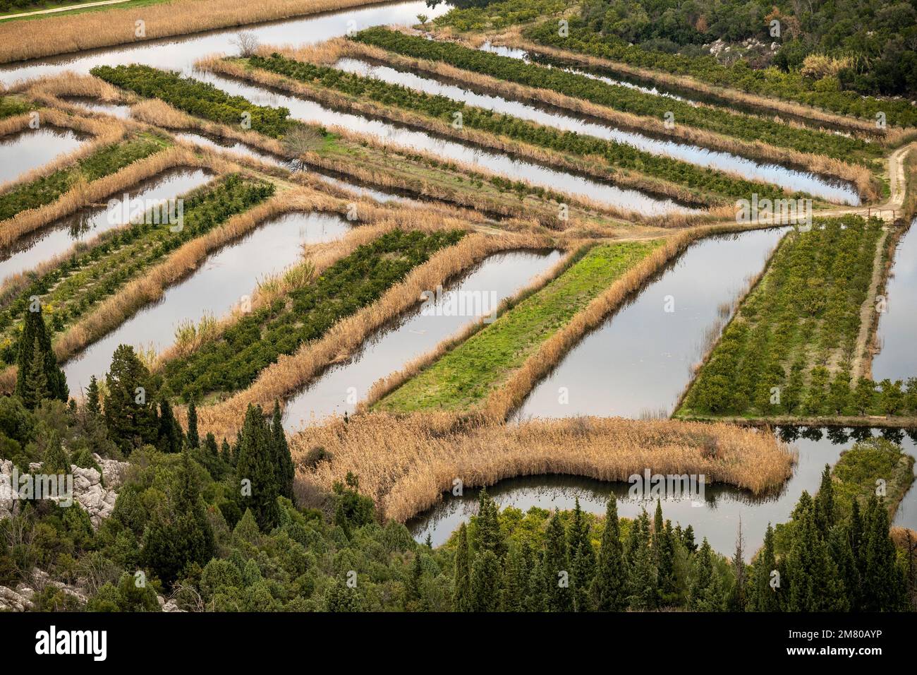 Beautiful rural countryside and fruit plantation on Neretva river ...