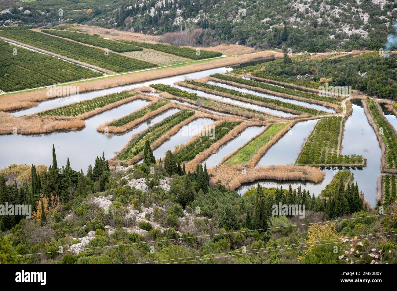 Beautiful rural countryside and fruit plantation on Neretva river ...
