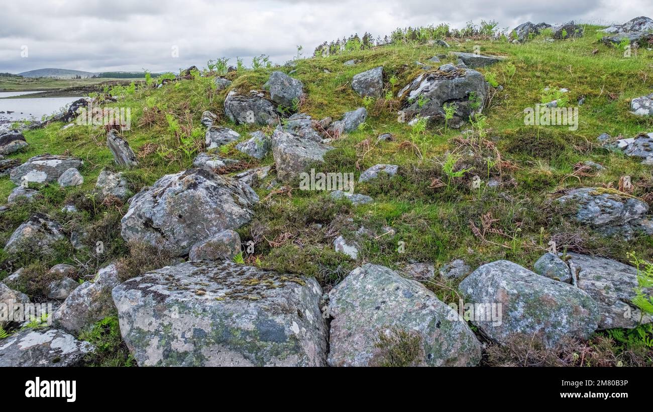 Coill'ach A'chuil Broch, Loch Naver Stock Photo - Alamy
