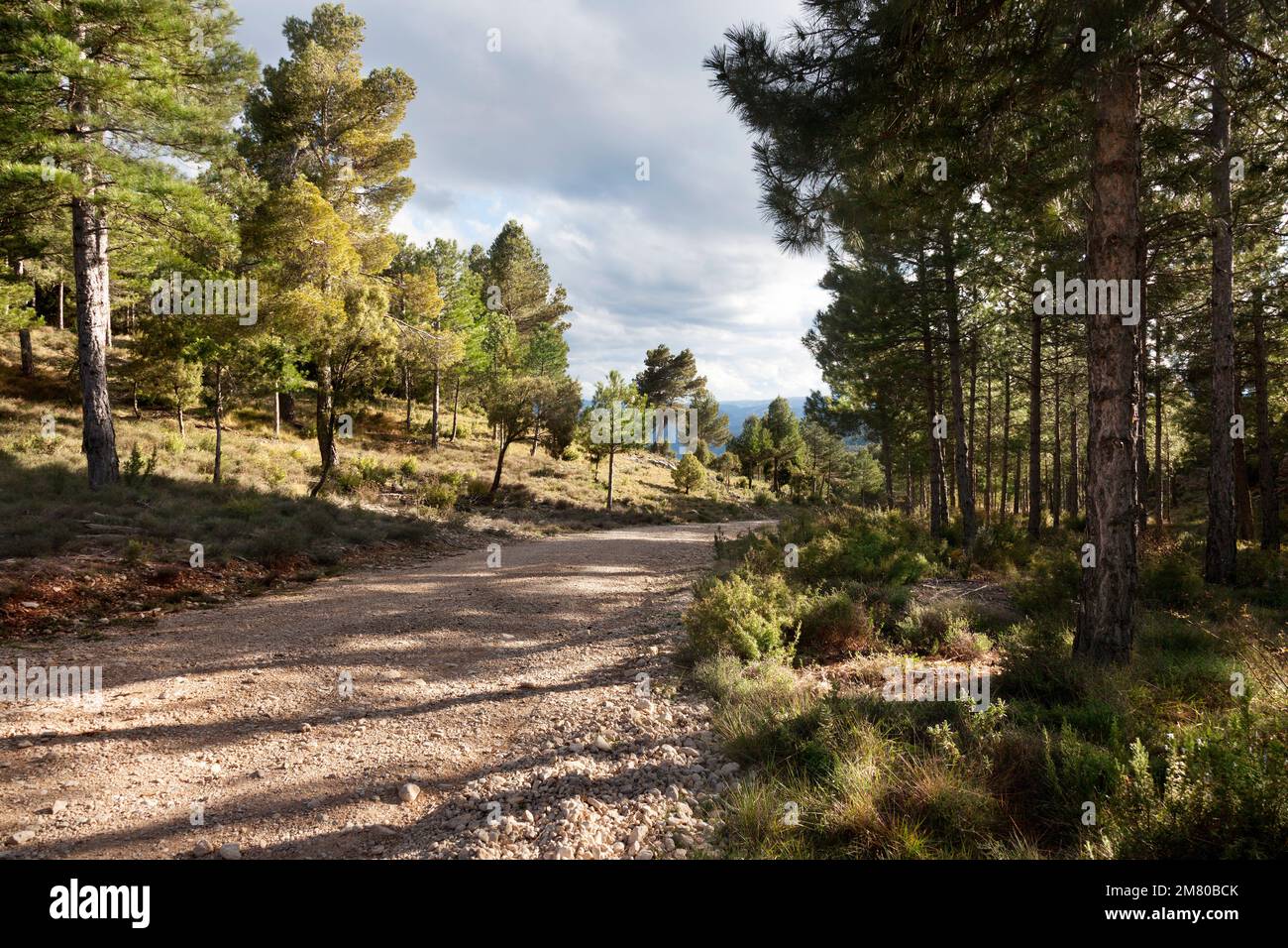 Way to la Picosa. Teruel Province Stock Photo - Alamy