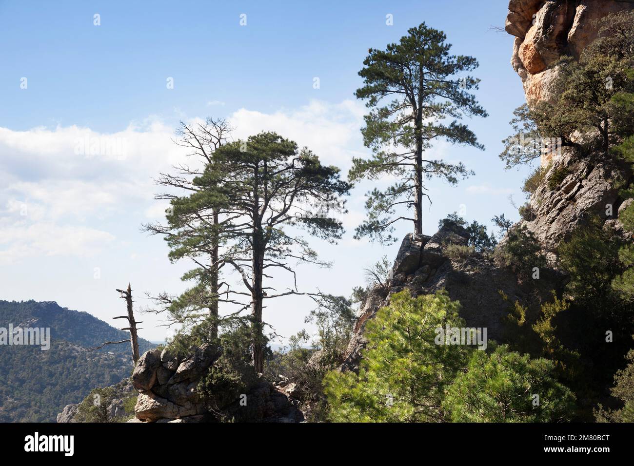 Two cultures spain hi-res stock photography and images - Alamy