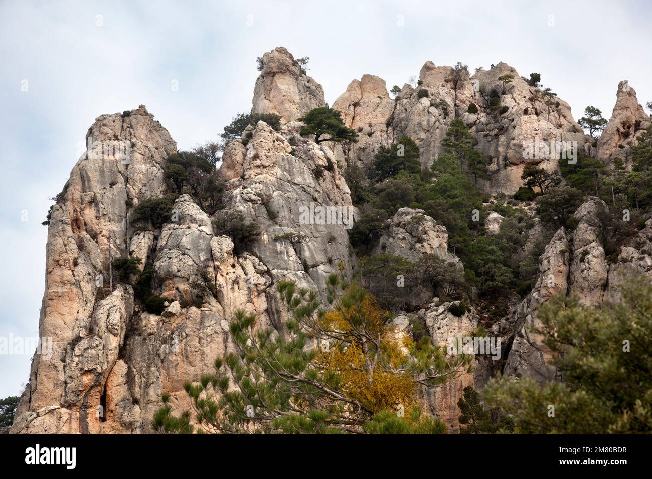 The Parrisal way Stock Photo - Alamy