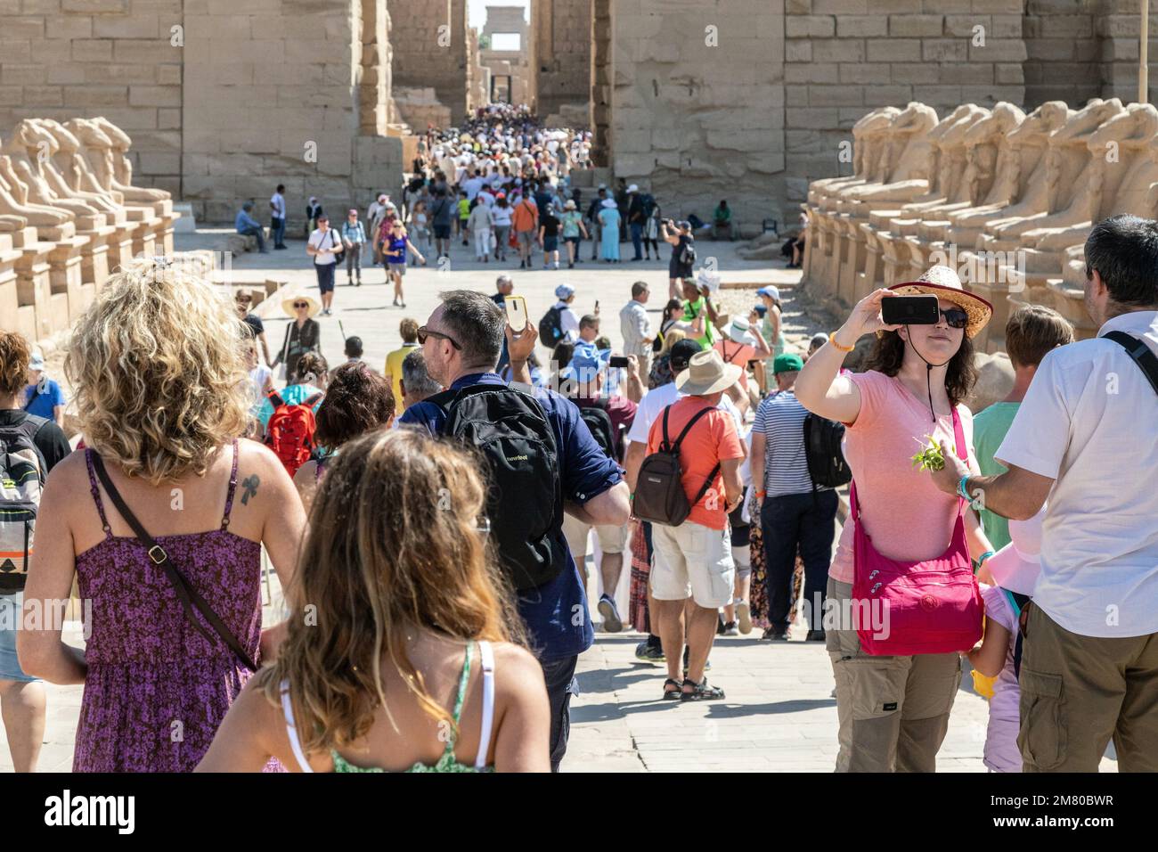 CROWD OF TOURISTS, DROMOS, AVENUE OF LION-HEADED SPHINXES LEADING TO ...