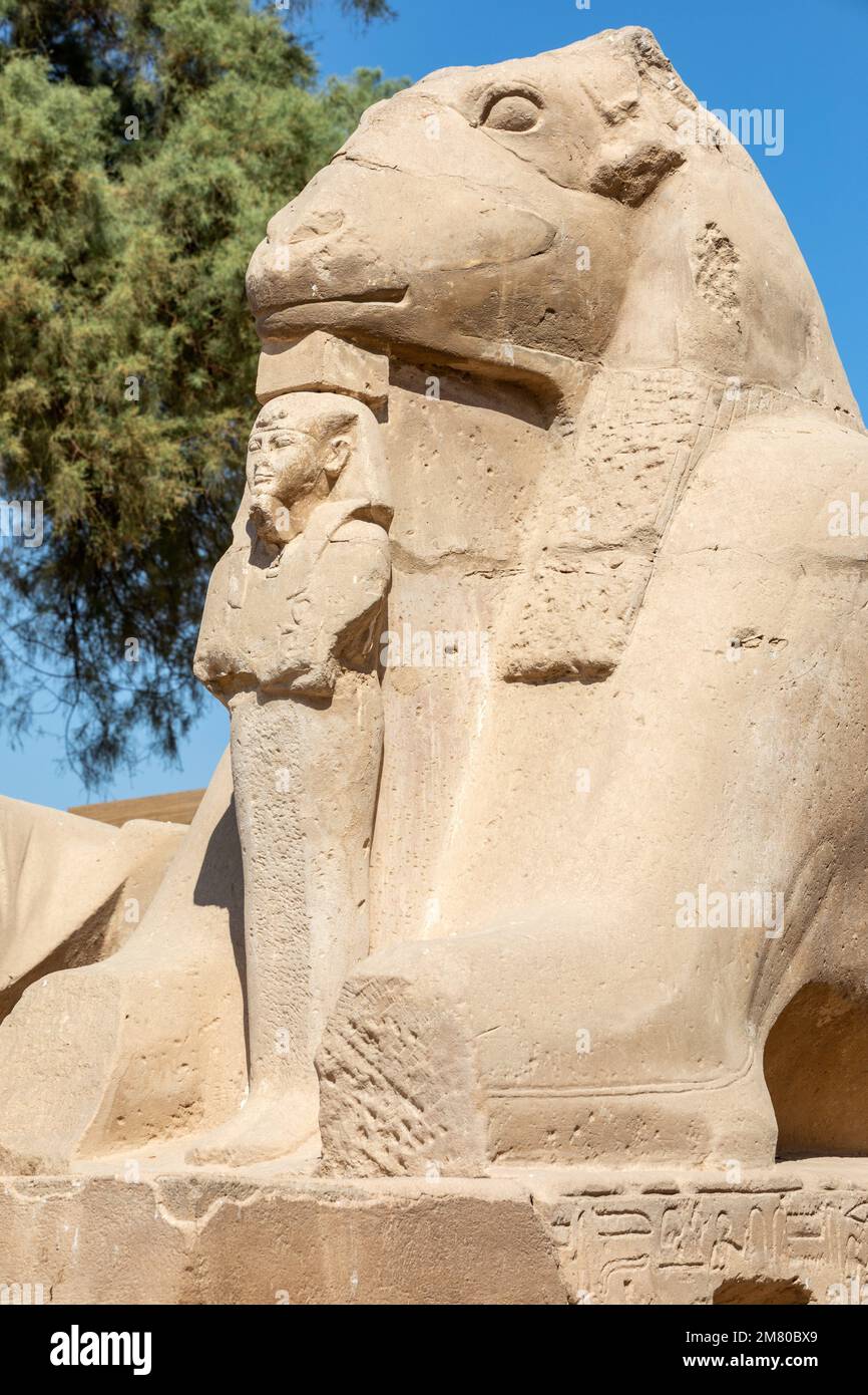 DROMOS, AVENUE OF LION-HEADED SPHINXES LEADING TO THE ENTRANCE OF THE ...