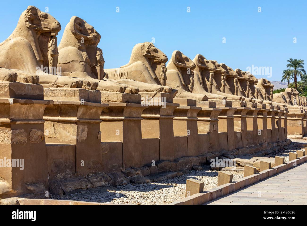 DROMOS, AVENUE OF LION-HEADED SPHINXES LEADING TO THE ENTRANCE OF THE ...