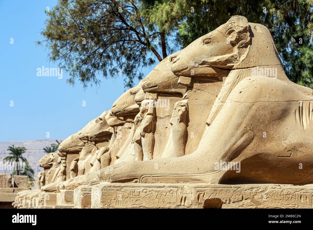 DROMOS, AVENUE OF LION-HEADED SPHINXES LEADING TO THE ENTRANCE OF THE ...
