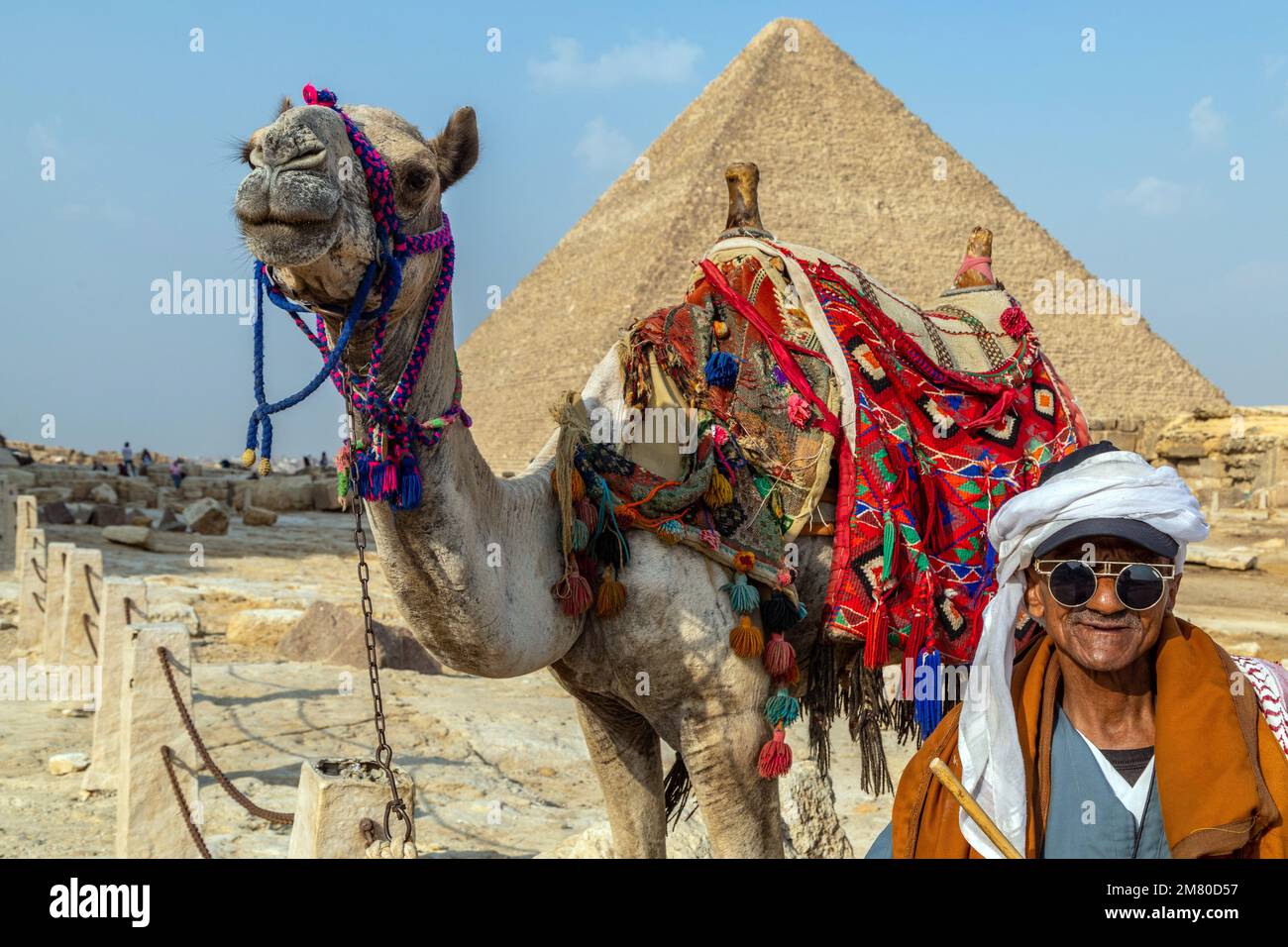 CAMEL IN FRONT OF THE CHEOPS PYRAMID CALLED THE GREAT PYRAMID, THE ...