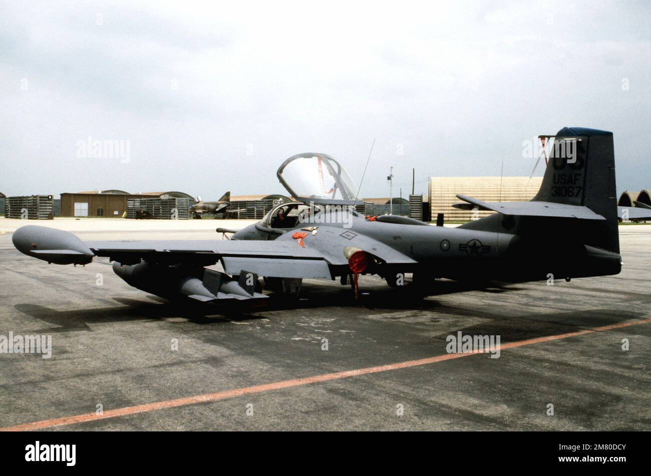 A 37 dragonfly hi-res stock photography and images - Alamy