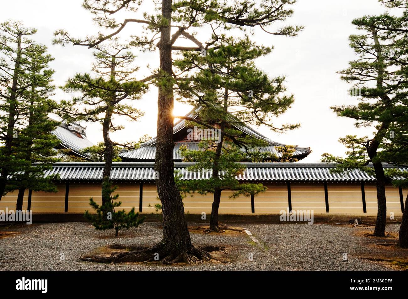 Myoshinji garden hi-res stock photography and images - Alamy