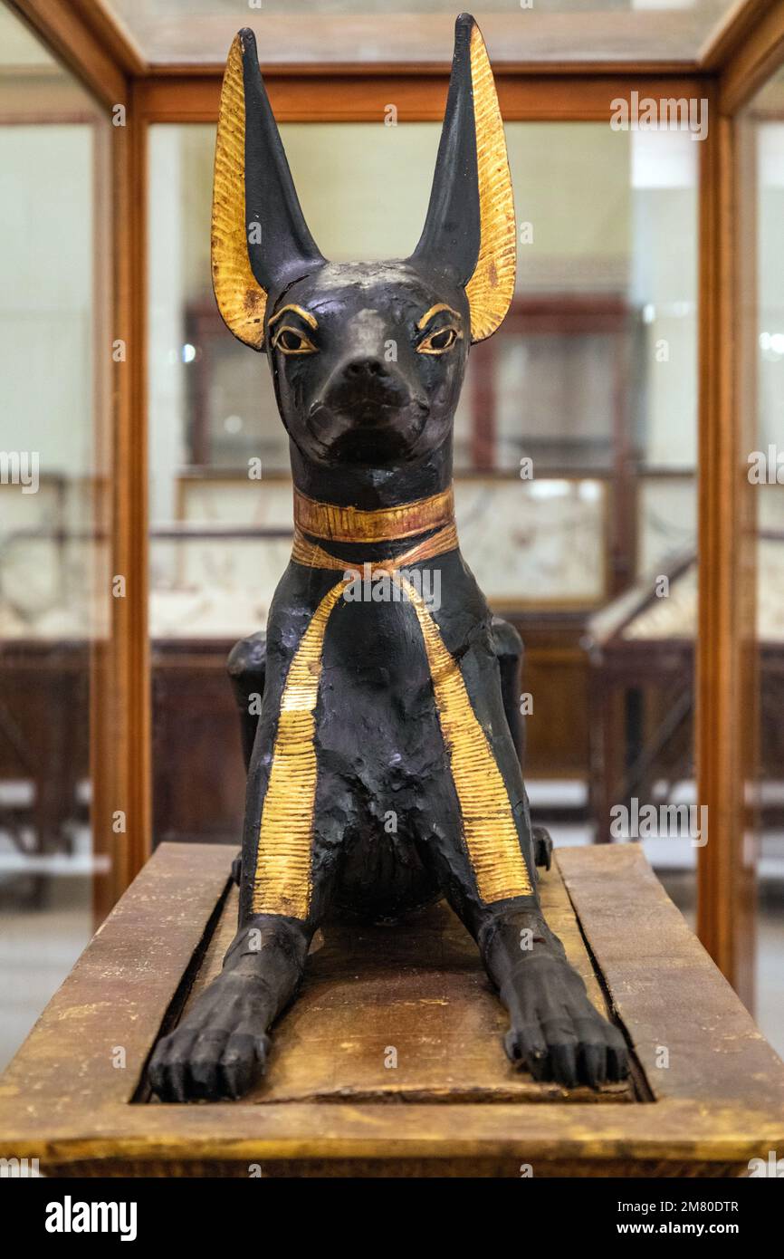 Anubis Head Statue