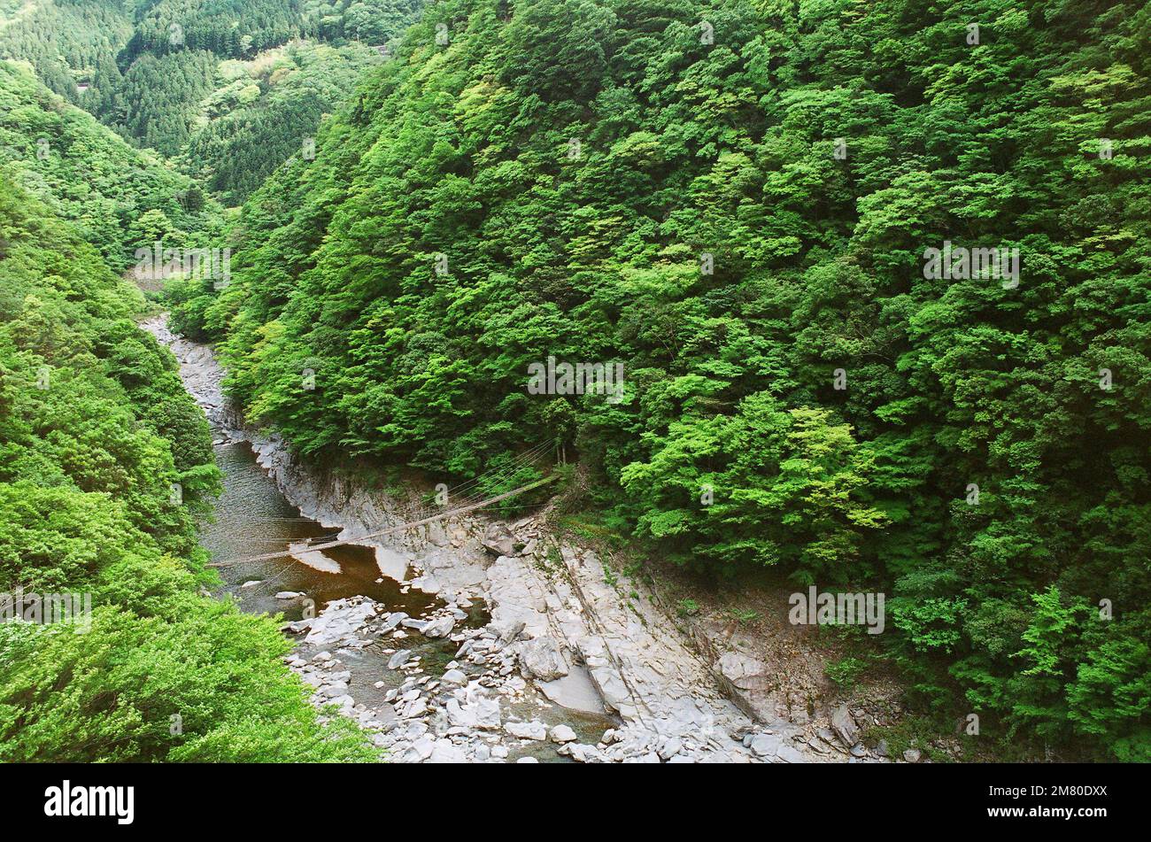 A suspension bridge crosses Oboke Gorge, Iya Valley, Shikoku, Japan ...