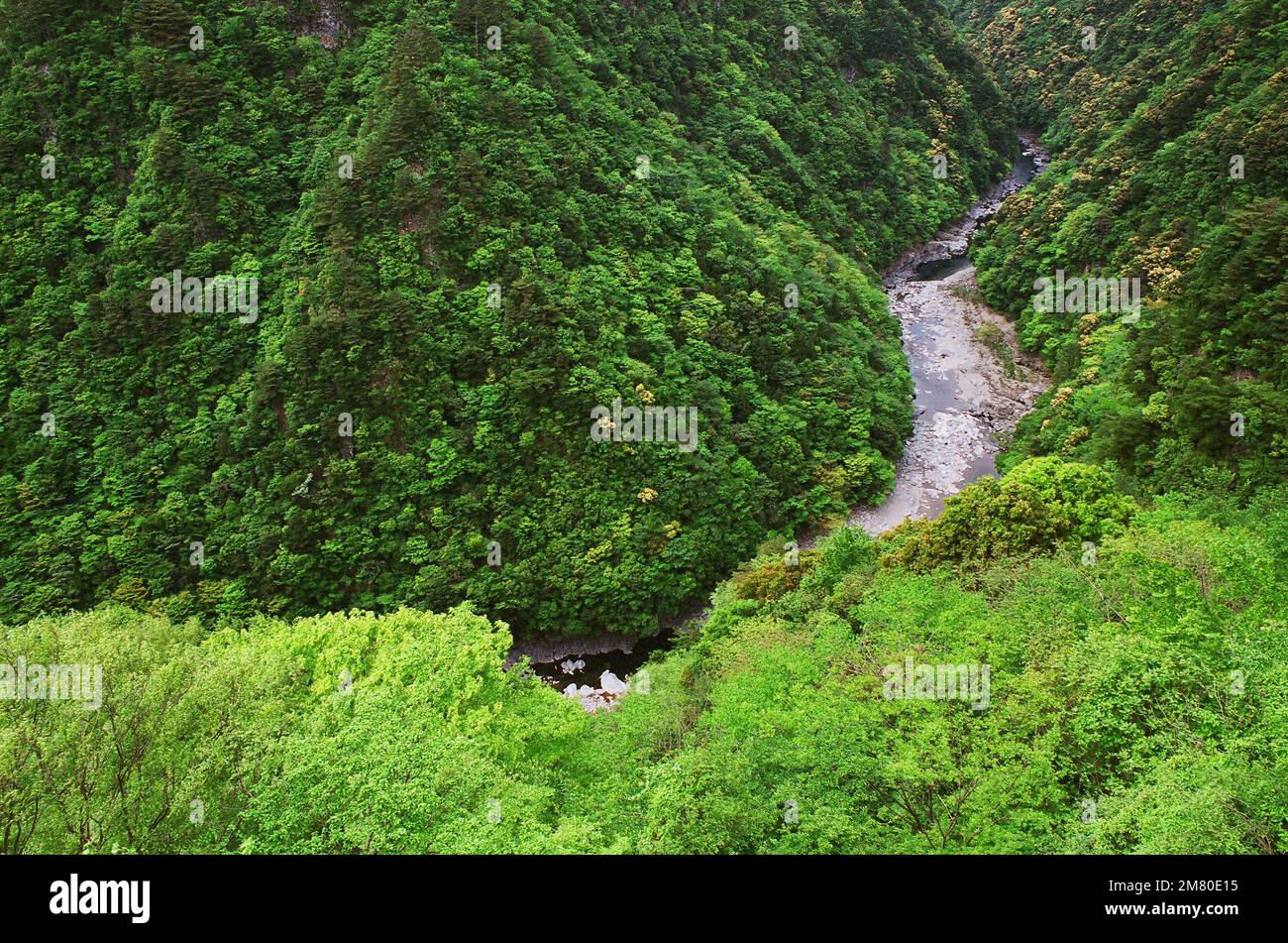 Oboke Gorge, Iya Valley, Shikoku, Japan Stock Photo - Alamy