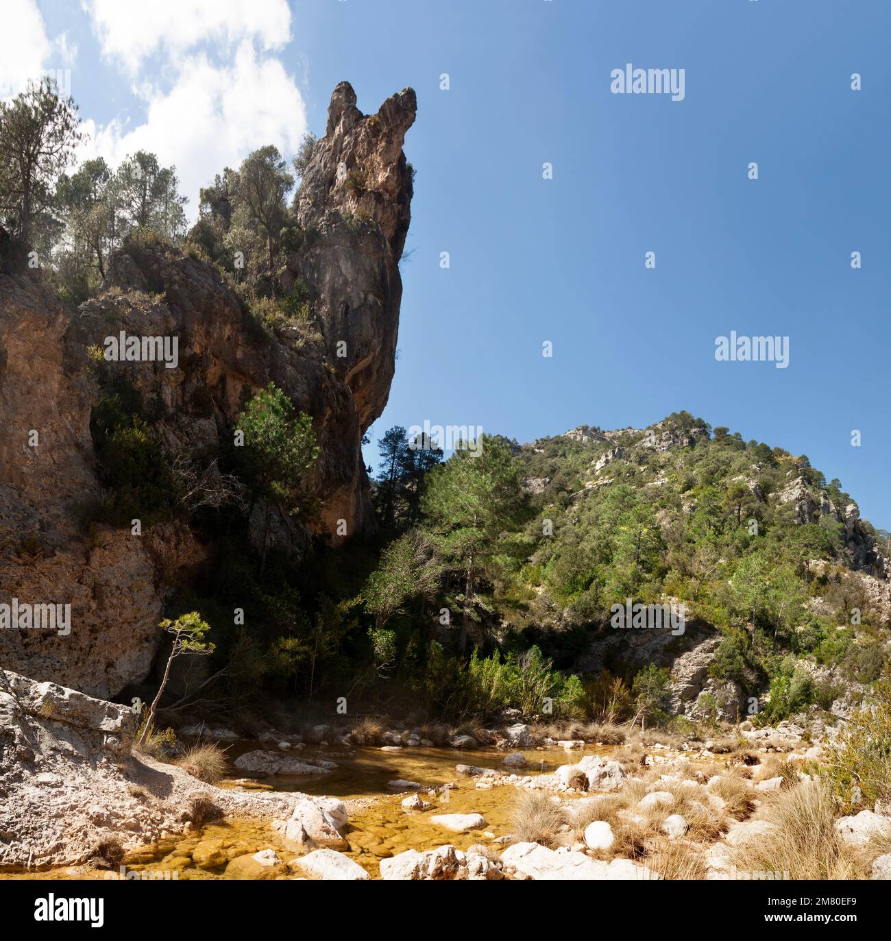 Natuarl environment hi-res stock photography and images - Alamy